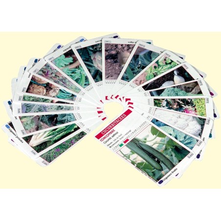 Légum'cartes